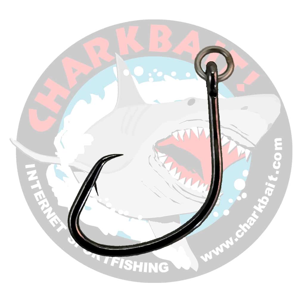 Ringed Hooks – CharkBait!