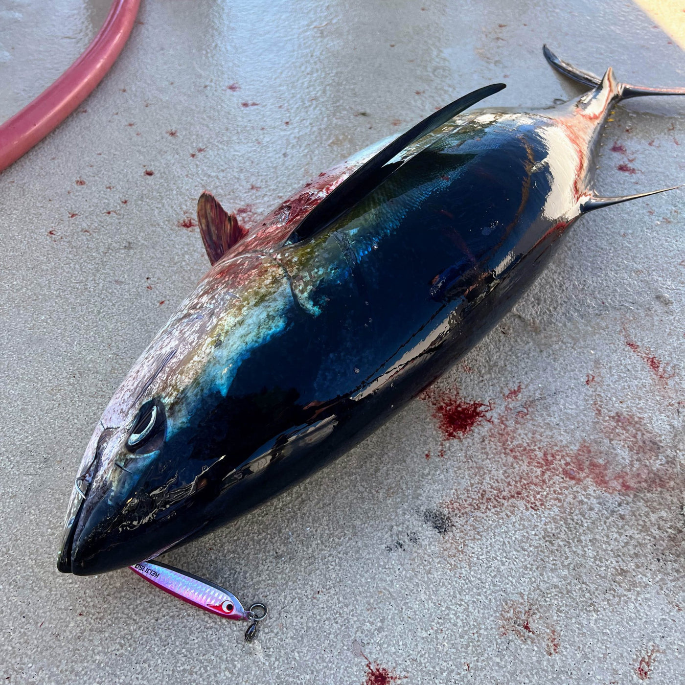 Bozles TG Keiji 150g Tungsten Slow Jigs — Charkbait